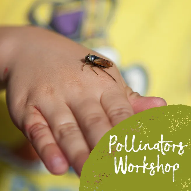 Pollinators workshops | National Trust for Jersey